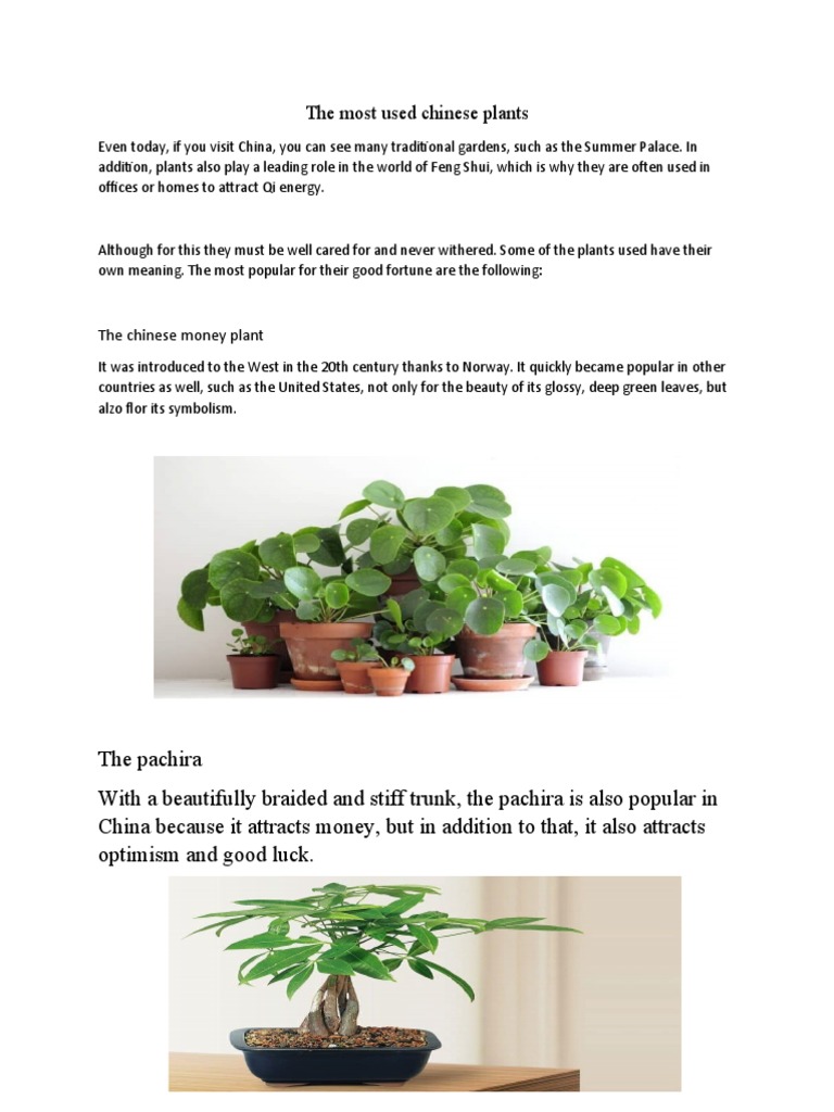 The Most Used Chinese Plants | PDF