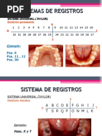 Código FDI: Guía para Odontólogos | PDF | Diente | Ramas de Odontología
