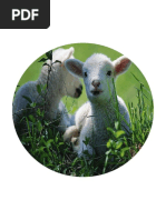 Ficha Tecnica Bullgrass 30.4 SL | PDF | Plantas | Botánica