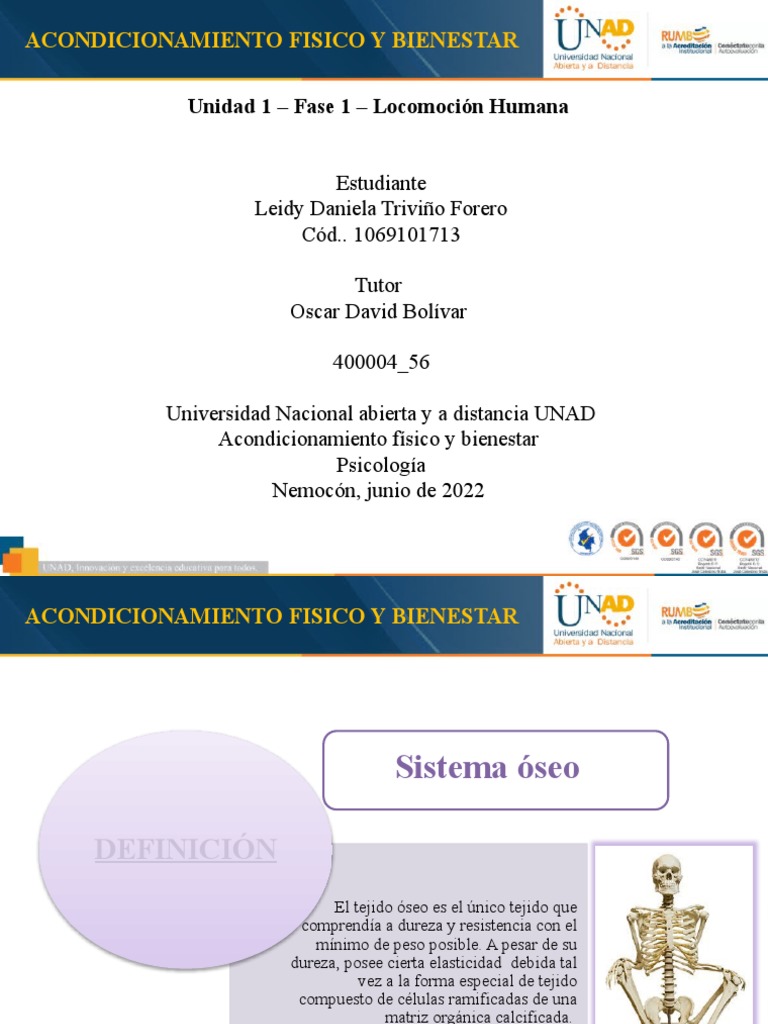 Unidad 1 - Fase 1 - Locomoción Humana. | PDF | Músculo esquelético ...
