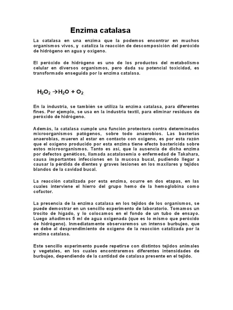 Catalasa: Función y Aplicaciones | PDF | Digestión | Catalasa