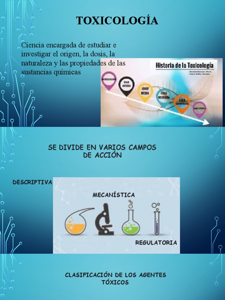 Diapositiva Toxicología | PDF | Toxicidad | Biotransformación