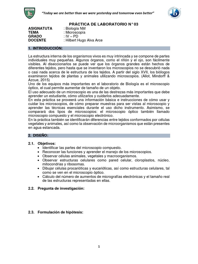 Practica de Laboratorio N 3 | PDF | Microscopio | Biología Celular)