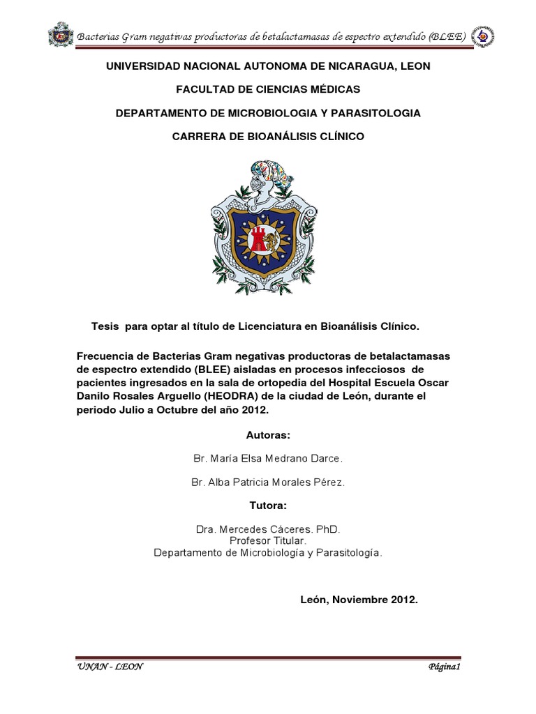 Bacterias Gram Negativas Productoras de Betalactamasas de Espectro ...