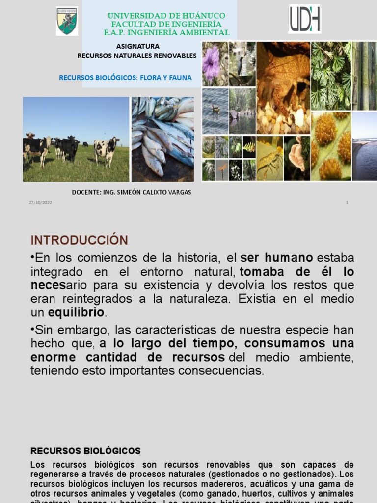 Clase 2 Recursos Biológicos Flora y Fauna | PDF | Fauna | Hierba