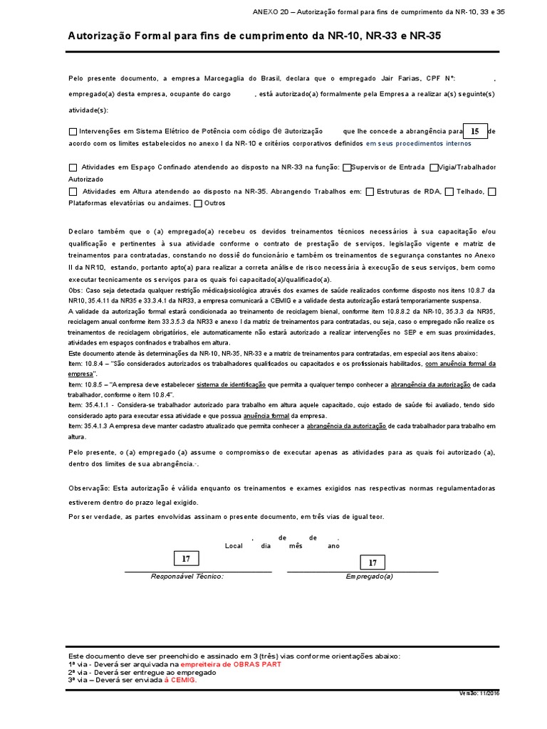 Anexo 10 Modelo Autorizacao Formal Vcte 0833 | PDF