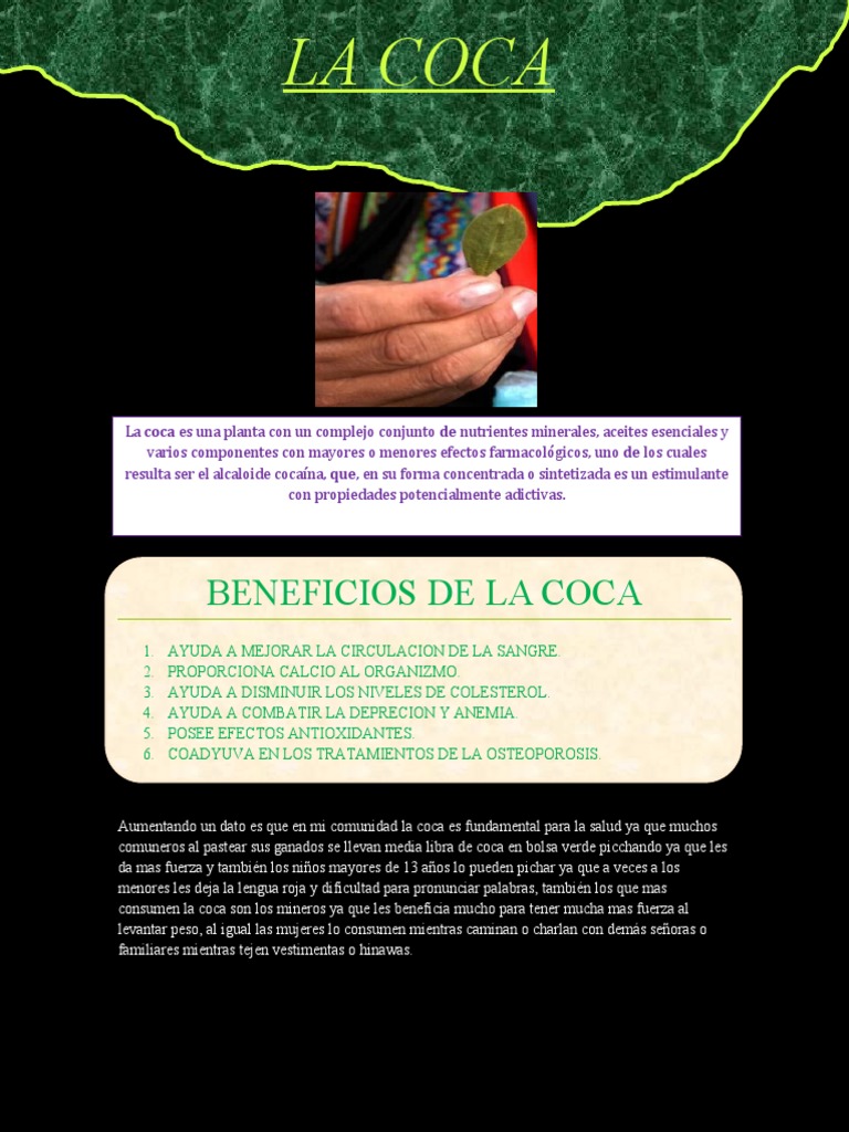 Beneficios de La Coca | PDF