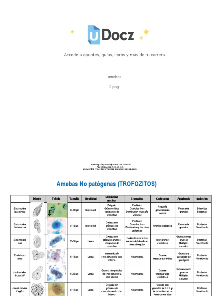 Amebas | PDF | Histología | Anatomía