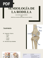 Qué Consisten y Qué Se Evalúa en Las Pruebas de Bostezo | PDF | Rodilla ...