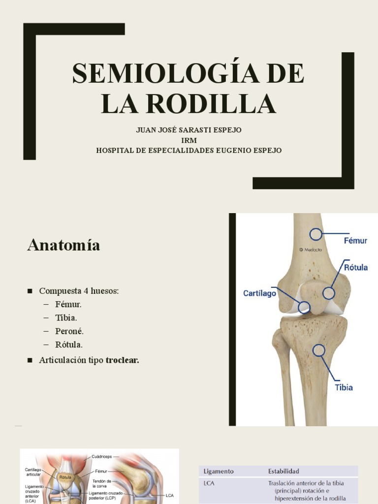 Semiología de la Rodilla: Exploración y Pruebas | PDF | Rodilla ...
