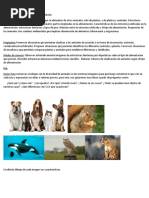 3°secuencia Didactica LA DIETA DE LOS ANIMALES | PDF | Dieta | Pico