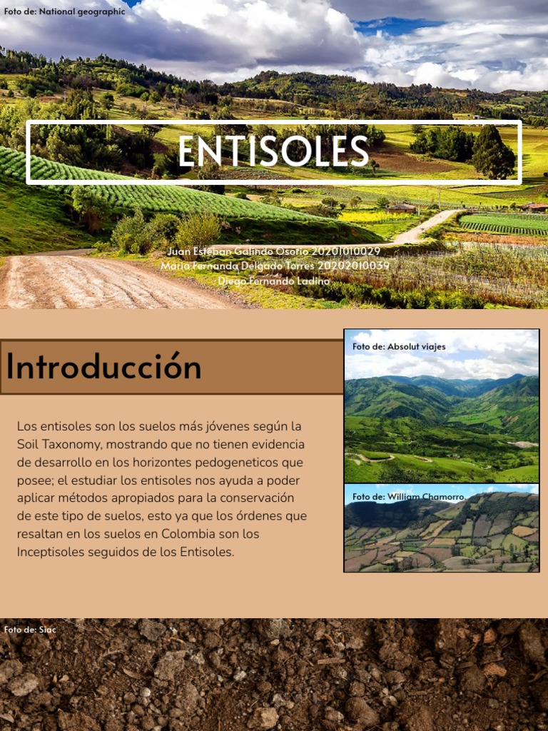 Entisoles | PDF | Colombia | Suelo