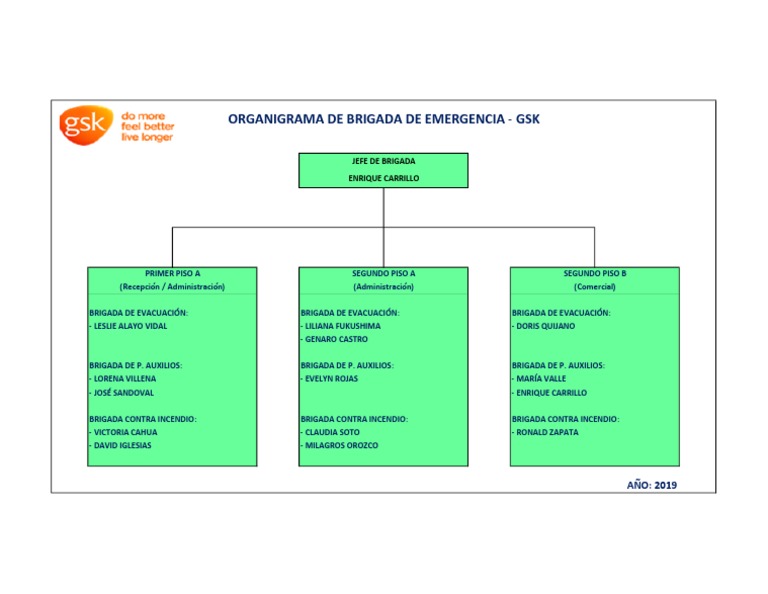 Organigrama Brigada de Emergencia GSK 2019 | PDF