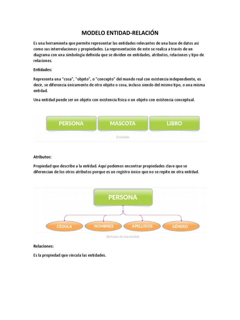 Modelos entidad-relación: representando datos y sus interrelaciones | PDF