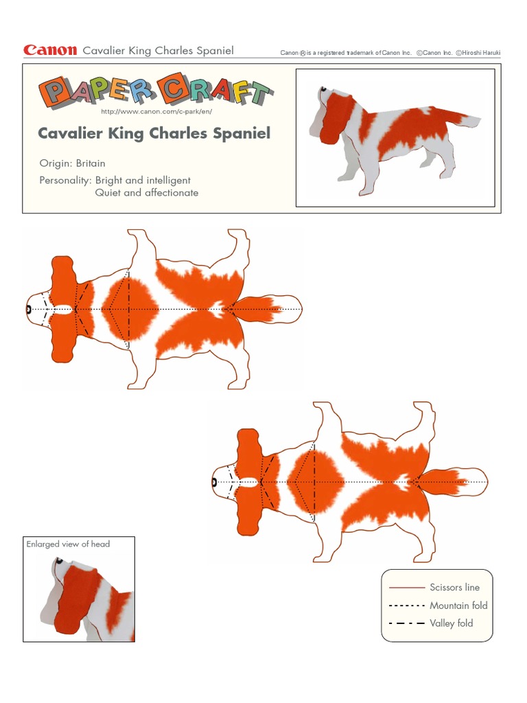 E Cavalier e A4 | PDF