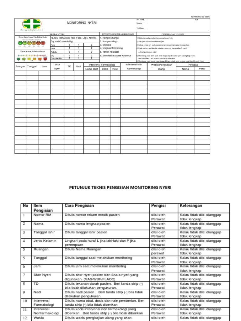 Monitoring Nyeri PDF RM | PDF