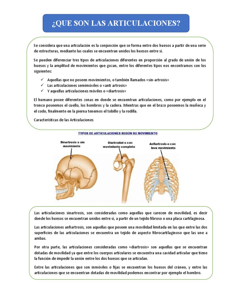 Cuadros Sinópticos de Las Articulaciones-JUDITH | PDF | Articulación | Anatomía