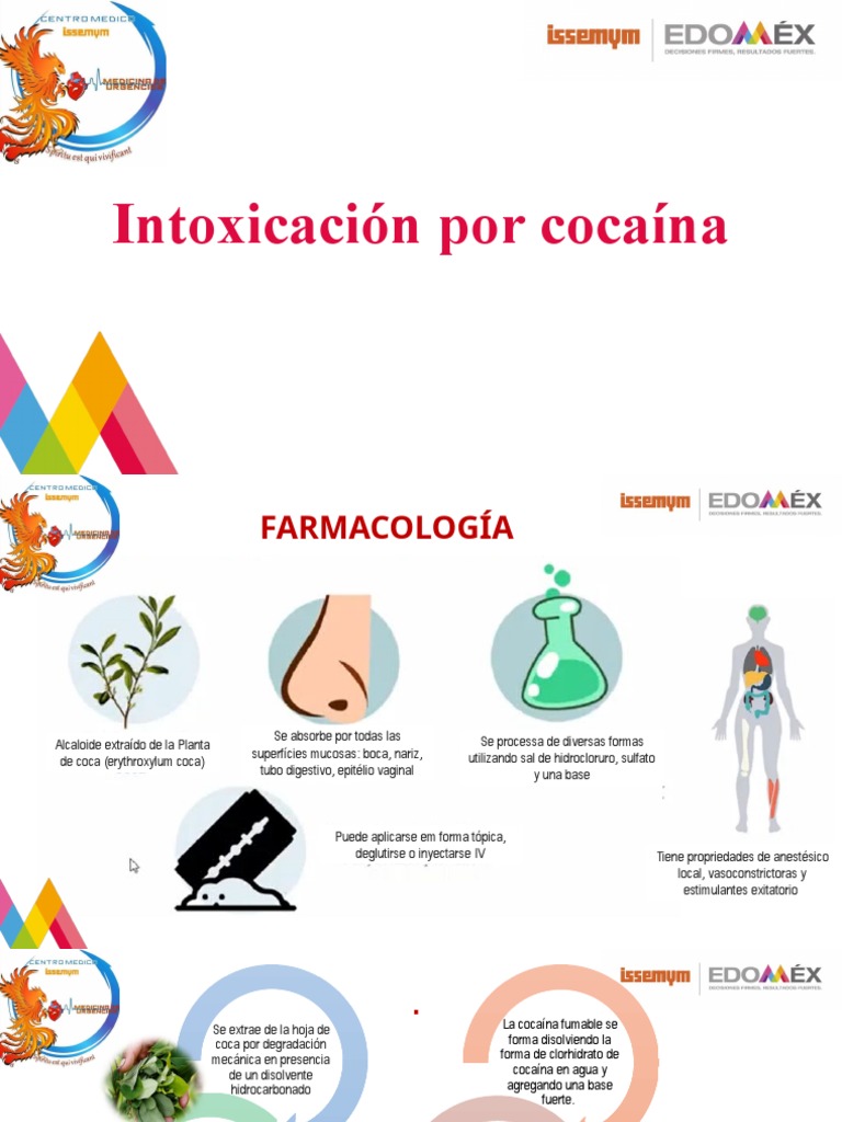 Intoxicacion Por Cacaina | PDF | Cocaína | Medicina CLINICA