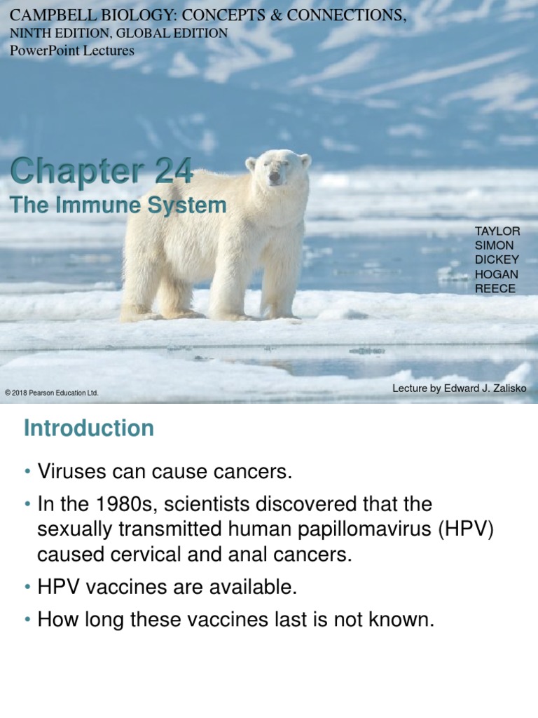24 Lecture Presentation | PDF | Lymphatic System | Immune System