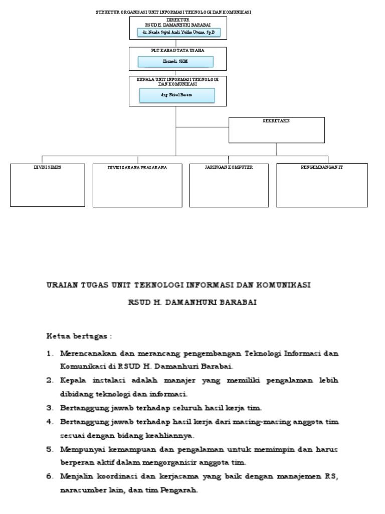 Struktur Organisasi Ict RSHD Barabai Ok | PDF | Bisnis