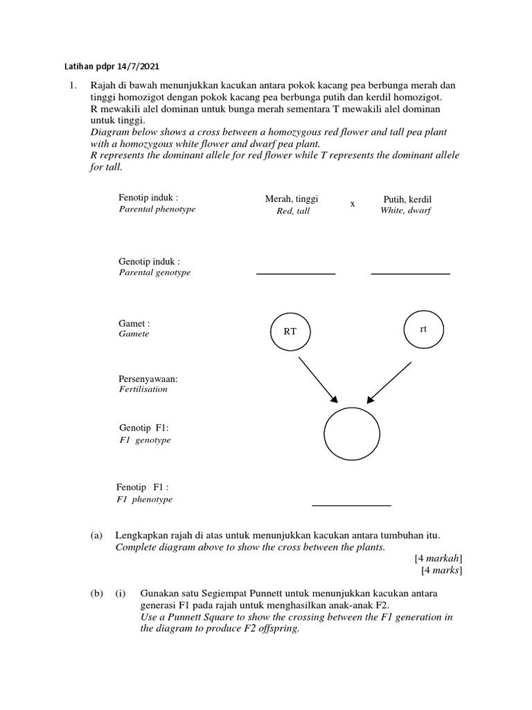 Latihan Pewarisan PDPR 14 | PDF