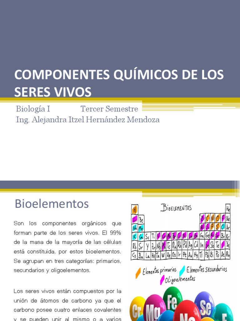 Componentes Químicos de Los Seres Vivos | PDF | Carbohidratos ...