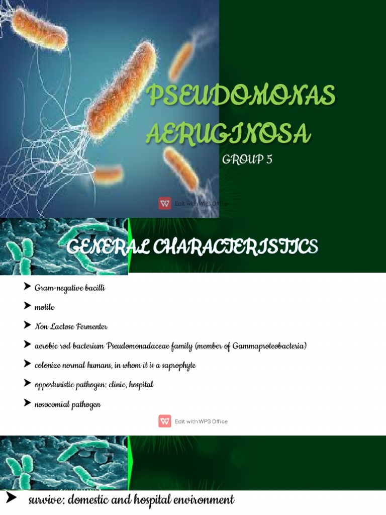 Pseudomonas Aeruginosa: Group 5 | PDF | Infection | Pseudomonas