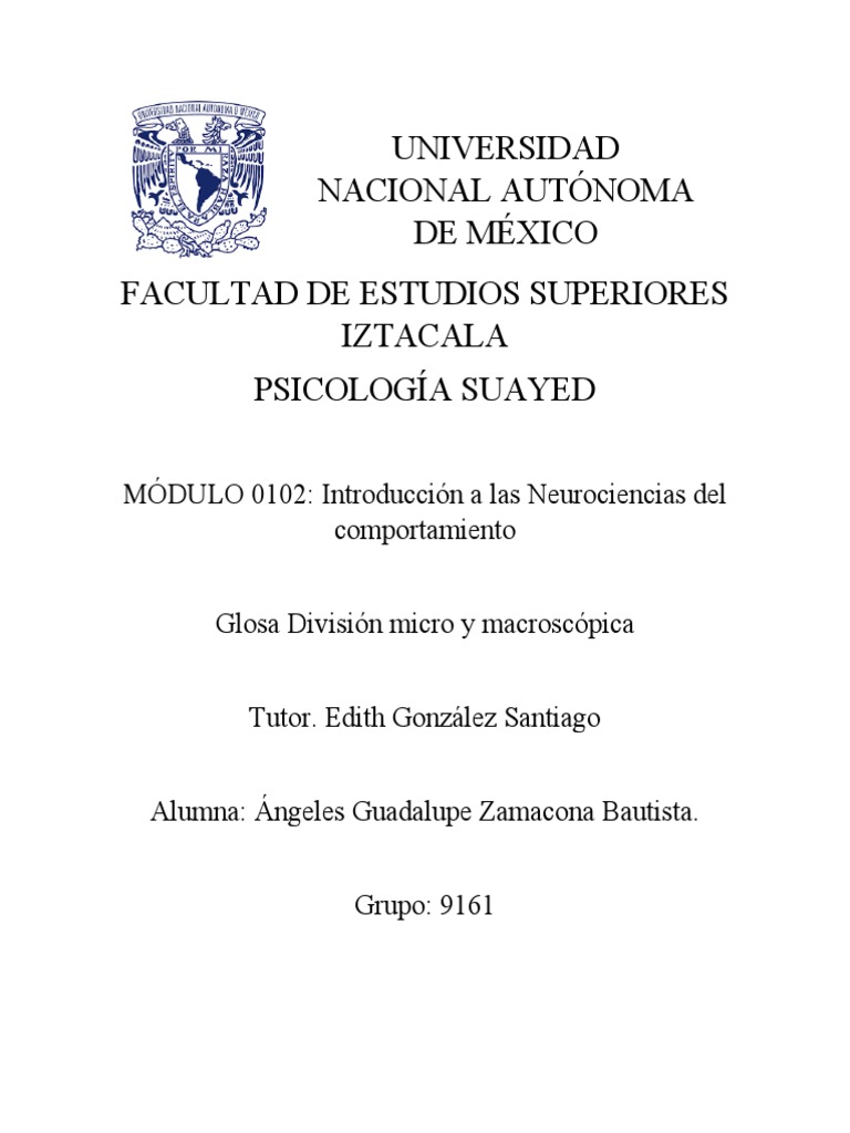 ZamaconaBautista - Ángeles - Act4 - Glosa División Micro y Macroscópica | PDF | Cerebro ...