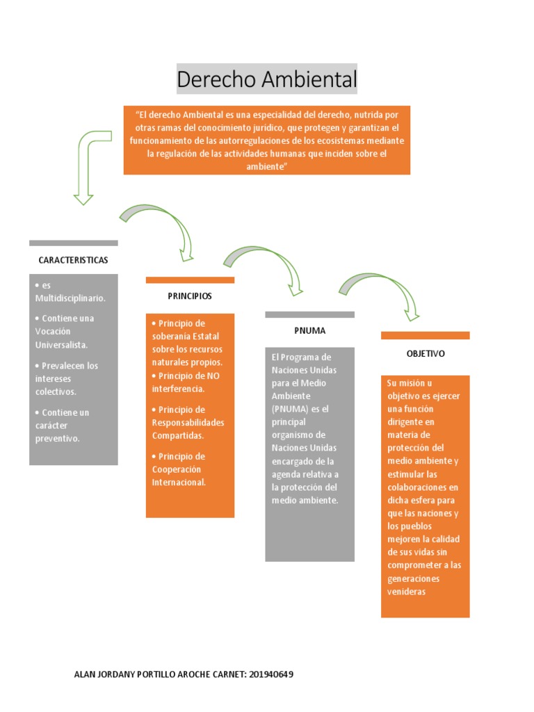 Mapa Conceptual Derecho Ambiental | PDF | Ley del Medio Ambiente ...