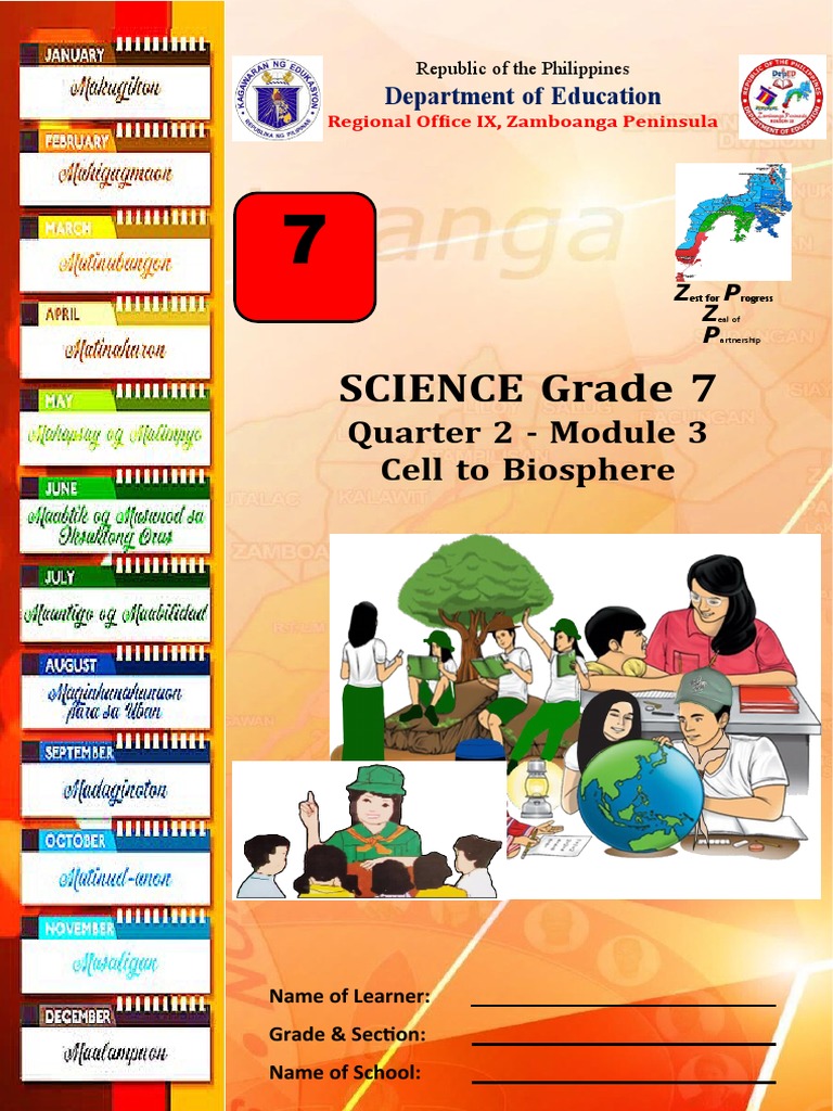 Science7 Q2 Module 3 | PDF | Human Body | Organisms
