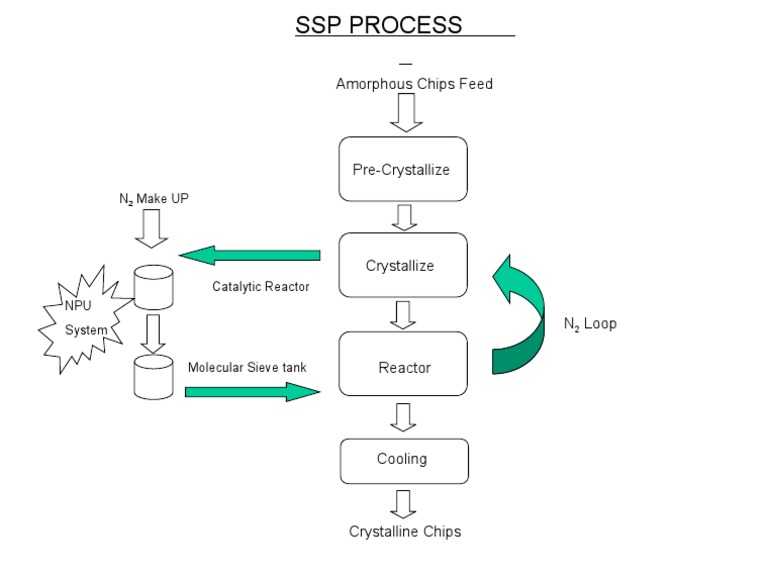 SSP Process | PDF