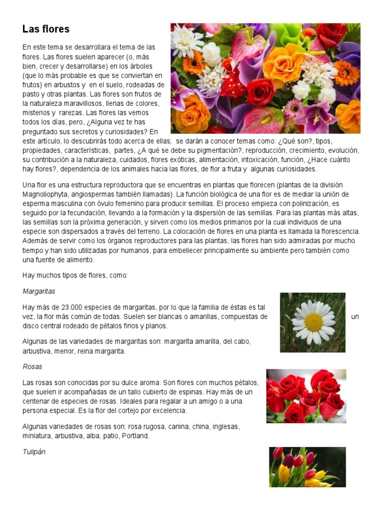 Información esencial sobre las flores | PDF | Flores | Semilla