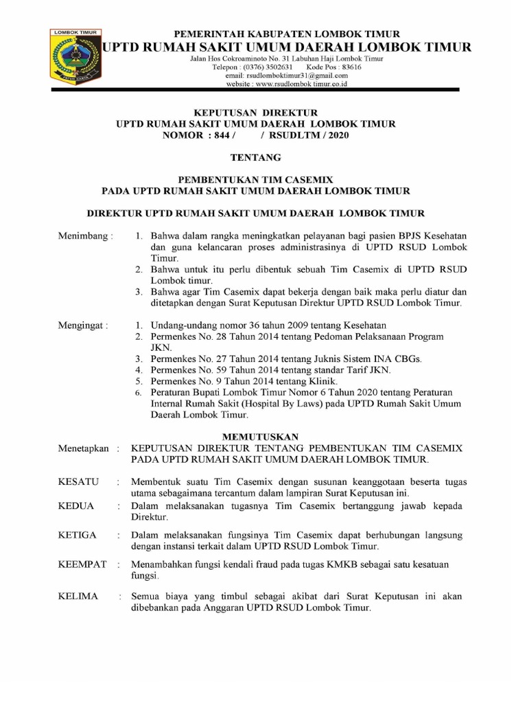 SK Tim Casemix | PDF