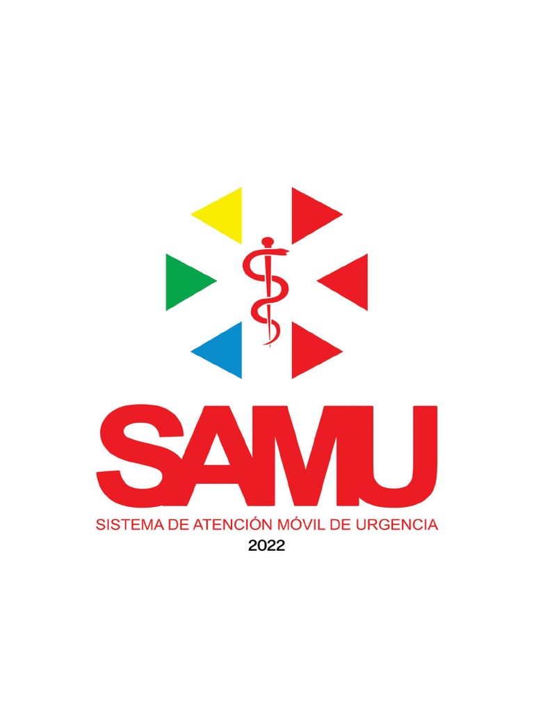 Manual de Identidad Samu | PDF | Qualia | Percepción visual