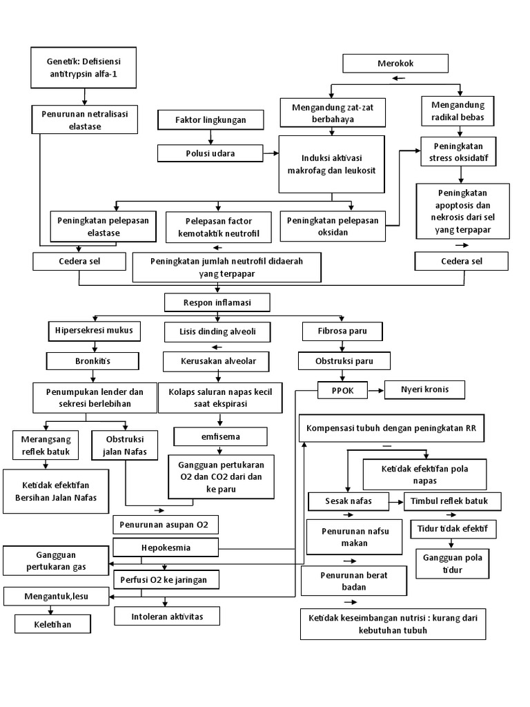 Skema Patofisiologi PPOK | PDF