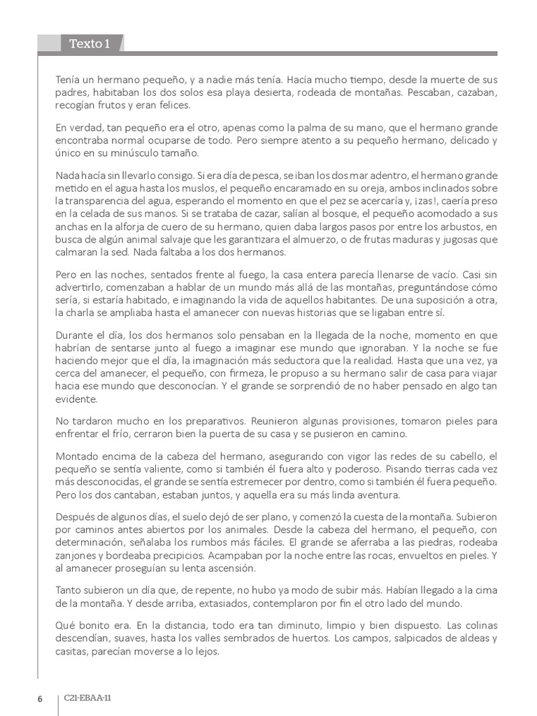 EXAMEN DE COMPRENSIÓN LECTORA - R 1 | PDF | Literatura | Método de enseñanza