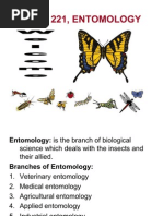 Entomology Cheat Sheet | PDF | Fly | Moth