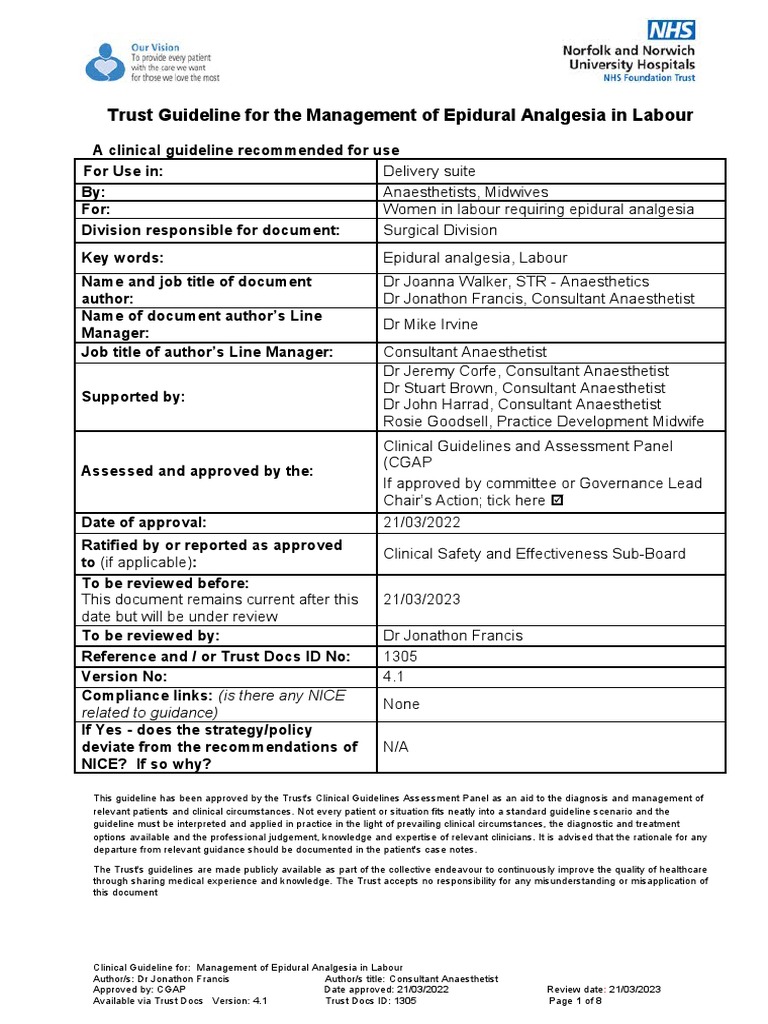 Epidural Analgesia Guidelines for Labour | PDF | Childbirth | Pain ...