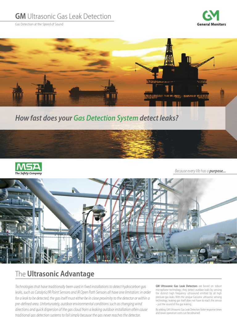 Gassonic Observer-I Brochure - EN | PDF | Ultrasound | Sound