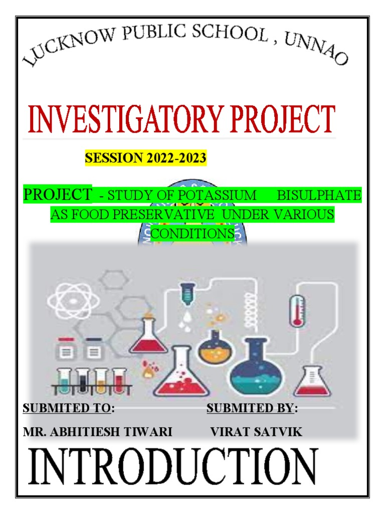 Chemistry Project 8 | PDF | Food Preservation | Food And Drink