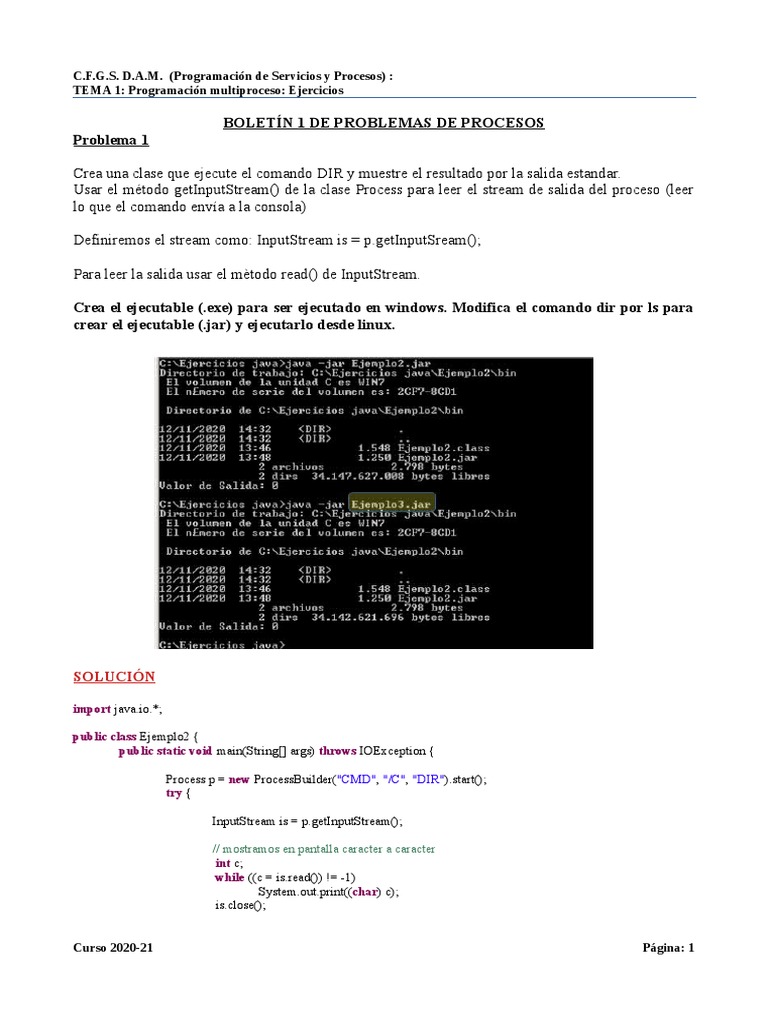 CFGS DAM Procesos Ejercicios | PDF | Java (lenguaje de programación) | Programa de computadora