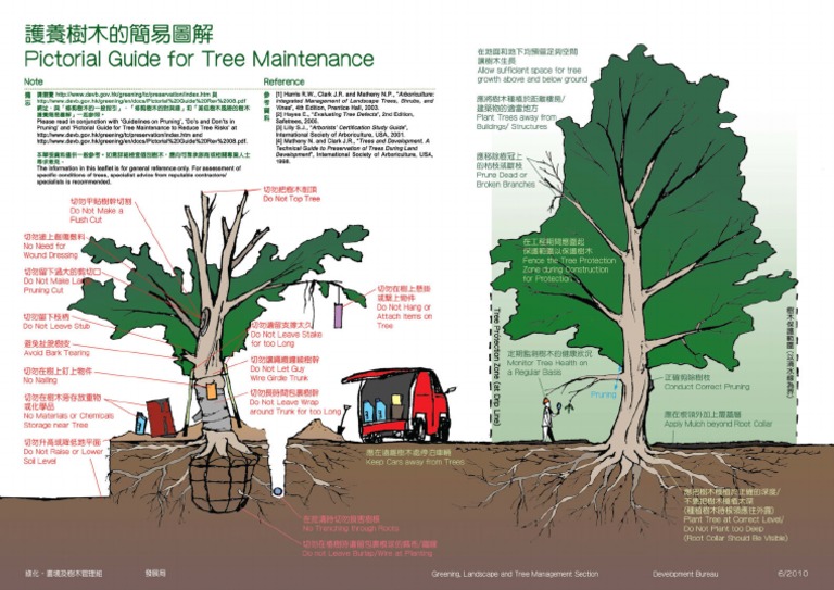 Pictorial Guide For Tree Maintenance | PDF | Pruning | Trees