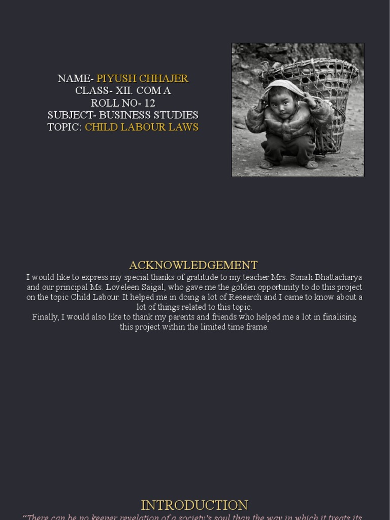 Bst Child Labour | PDF | Child Labour | Labour Economics