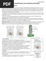 Types de jonctions cellulaires expliqués | PDF | Biologie cellulaire ...