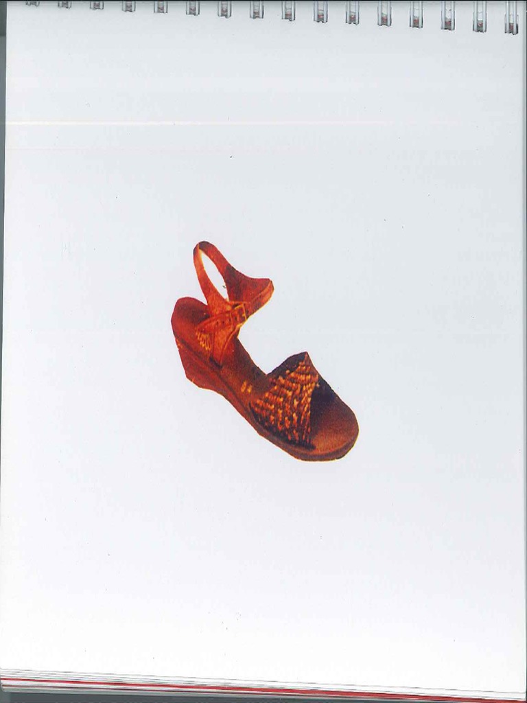 Laminas CAMCOG | PDF