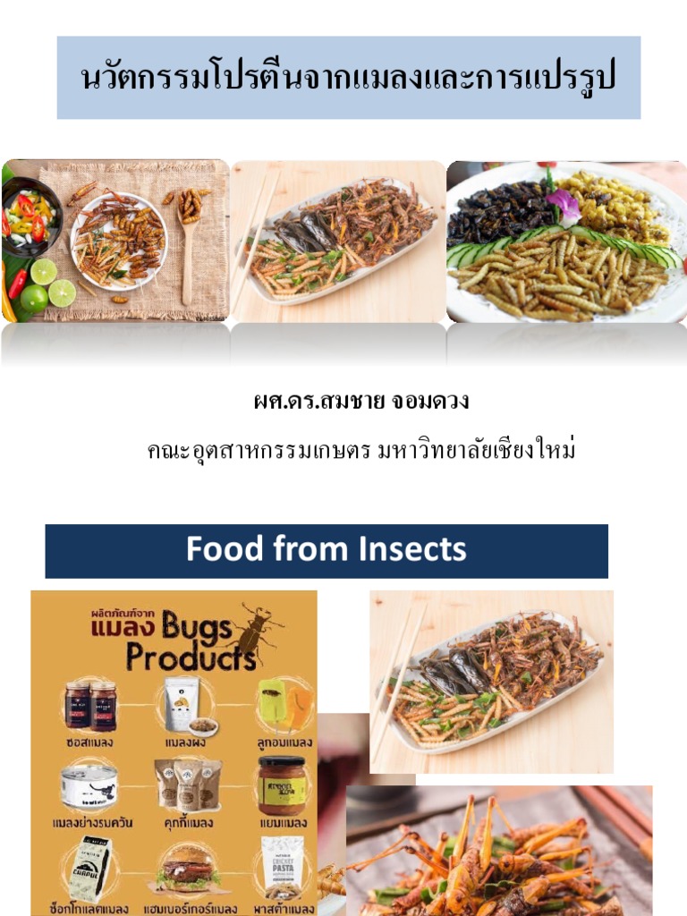 Sec 2 4 Protien From Insect Innovation PDF