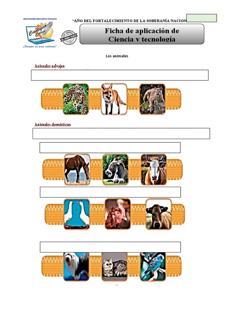 Ficha Los Animales | PDF