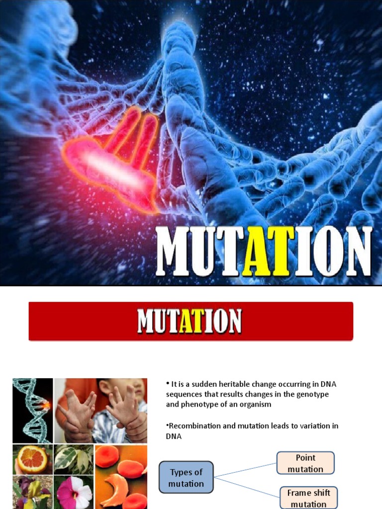 Aryan | PDF | Dominance (Genetics) | Mutation
