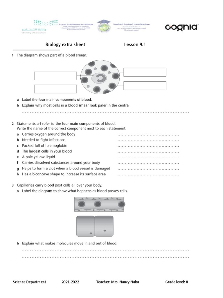 g8 Bio Extrasheet 11 | PDF
