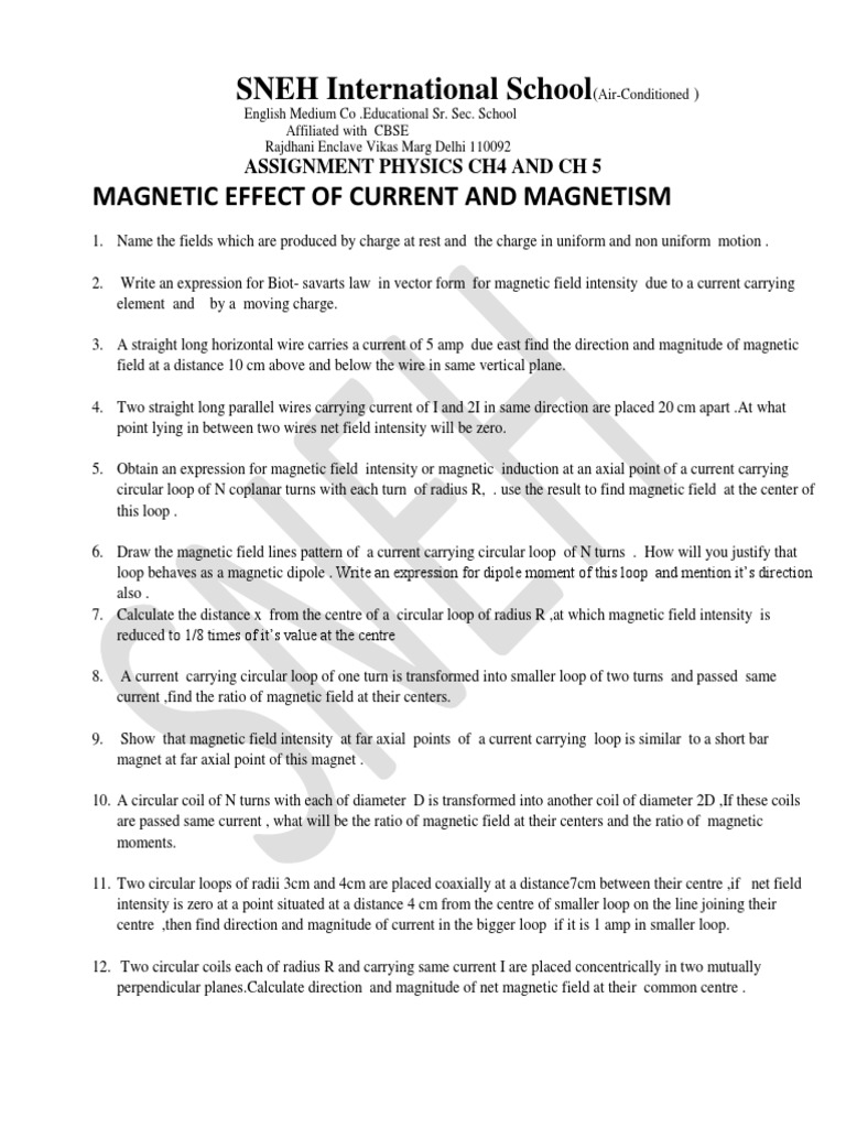Physics Assignment: Magnetism | PDF | Magnetic Field | Electron